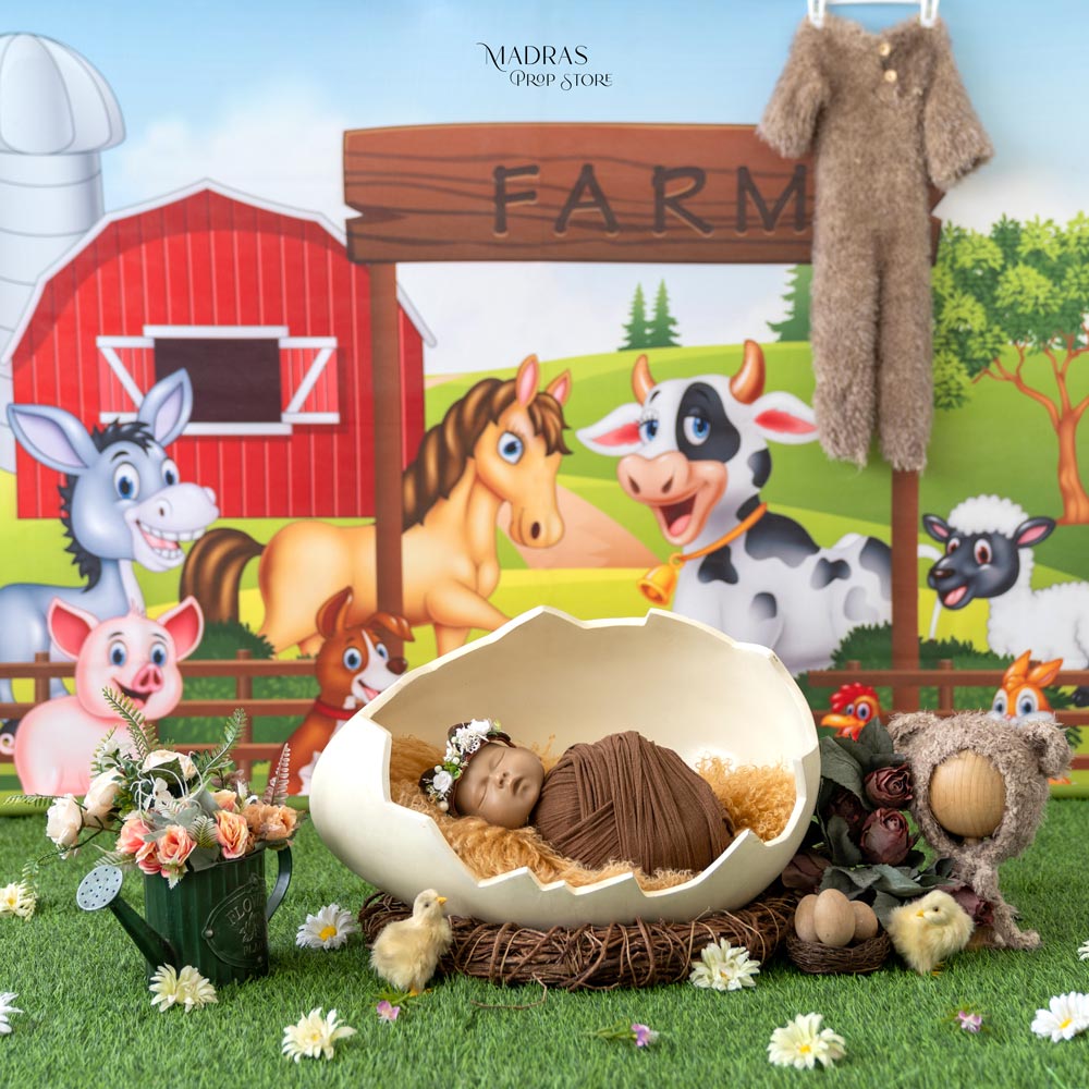Setup No 14 | Egg in the Farm Theme – Madras Prop Store Rentals
