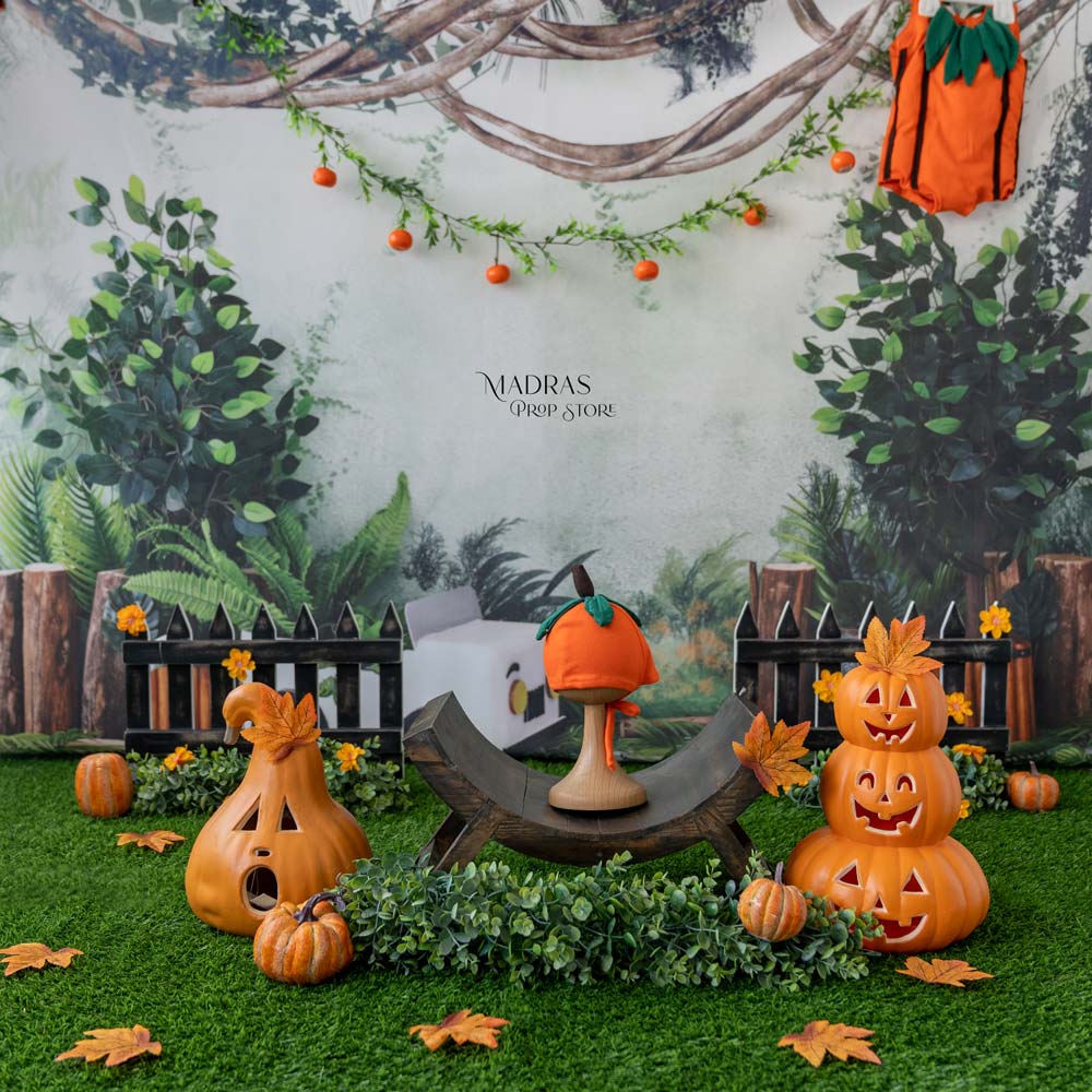 Setup No 39 | Pumpkin land Theme – Madras Prop Store Rentals