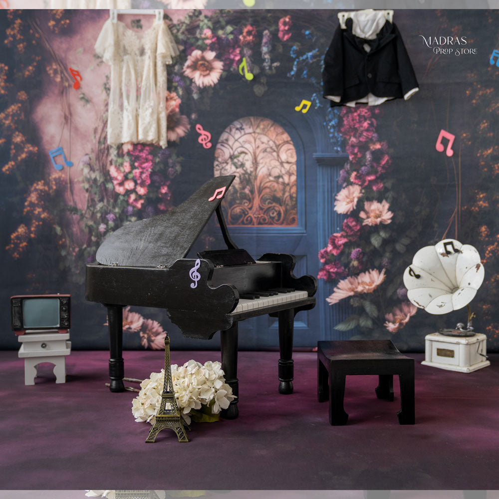 Setup No 27 | Music Theme – Madras Prop Store Rentals