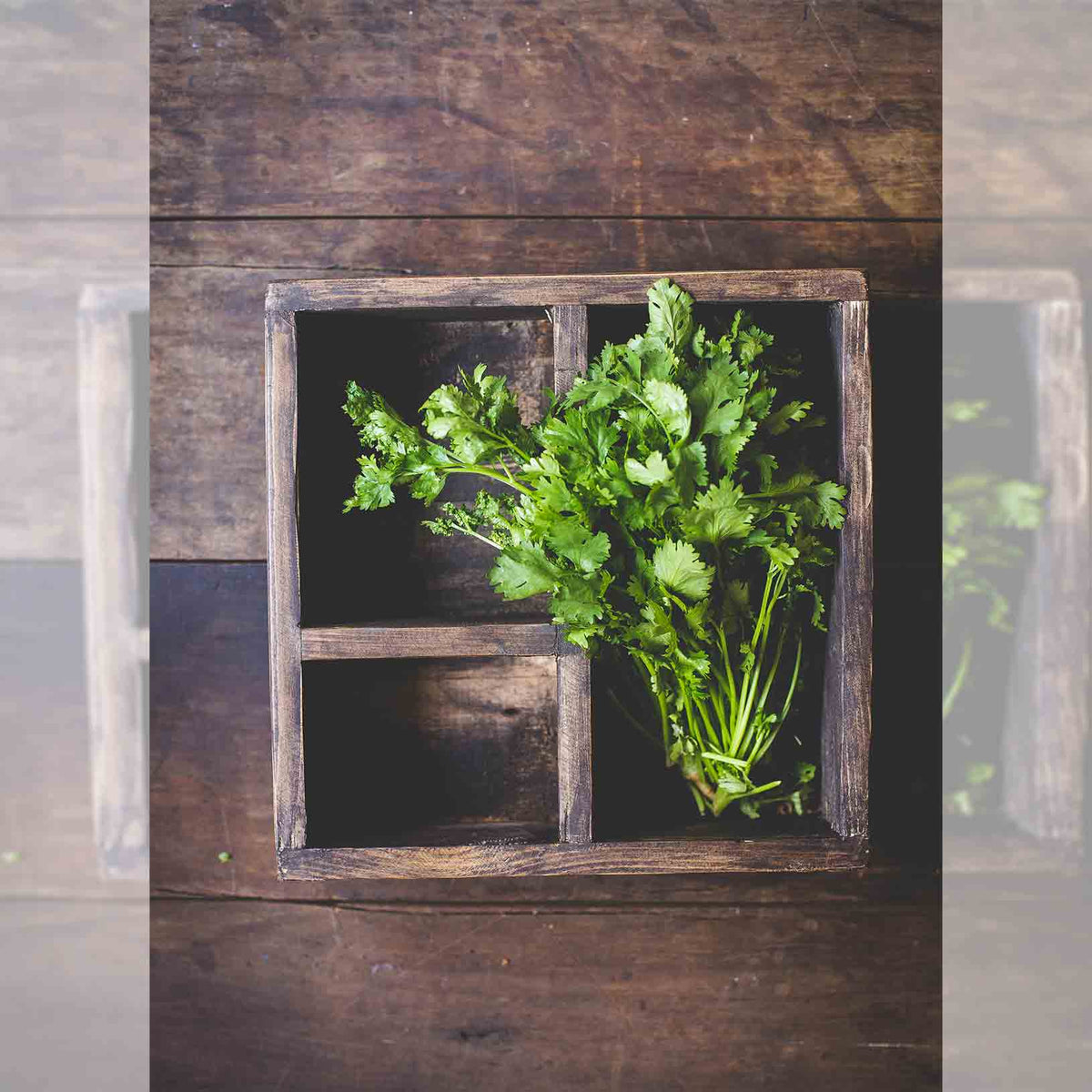 Rental - Rustic Wooden Caddy – Madras Prop Store Rentals
