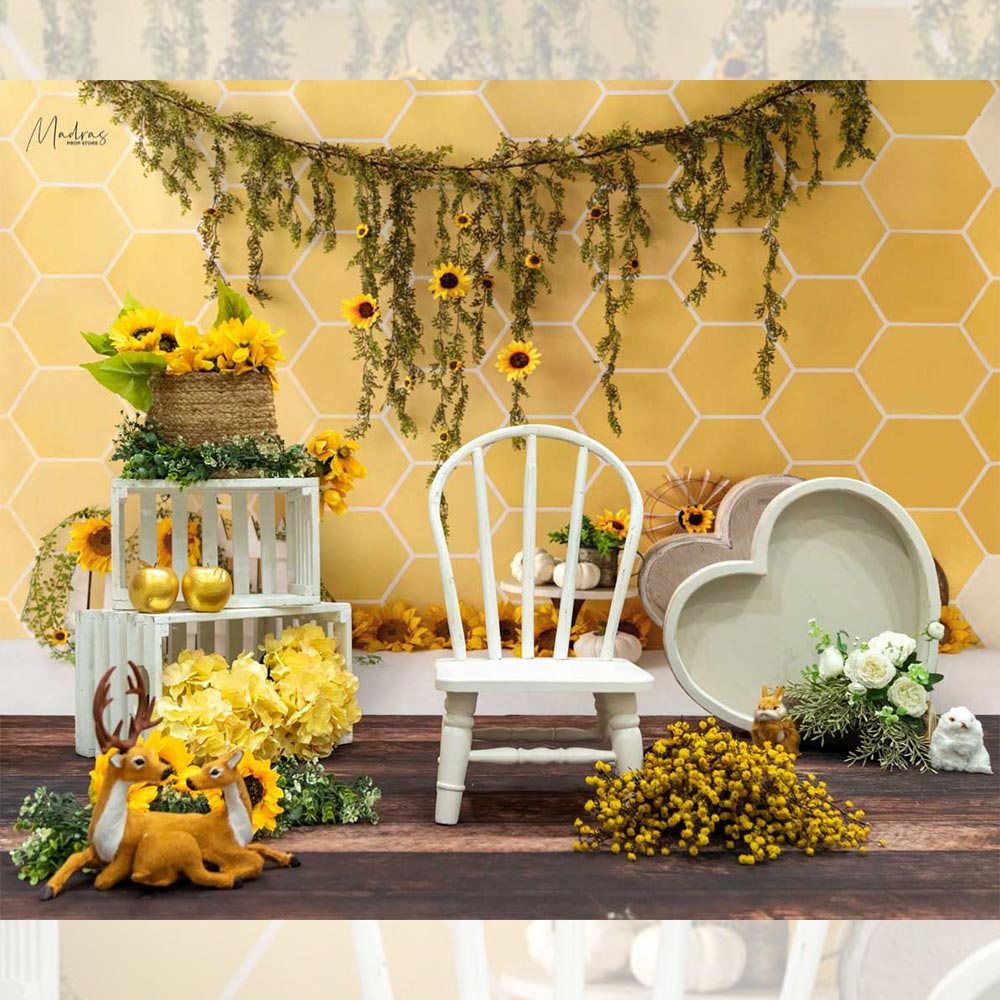 S2-S00035 – Madras Prop Store Rentals