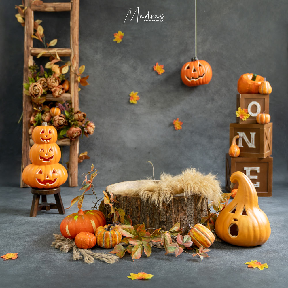 S2-S0002 – Madras Prop Store Rentals