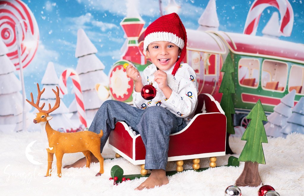 Rental - Xmas Sledge – Madras Prop Store Rentals